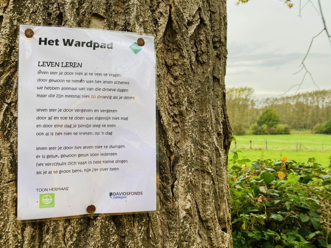 Wandelen in de Zwalmstreek: op en top natuur - wndln