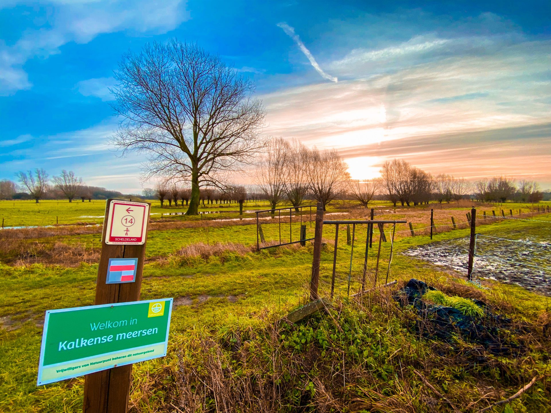 Wandeling in de Kalkense Meersen: ook dit is Wetteren - wndln