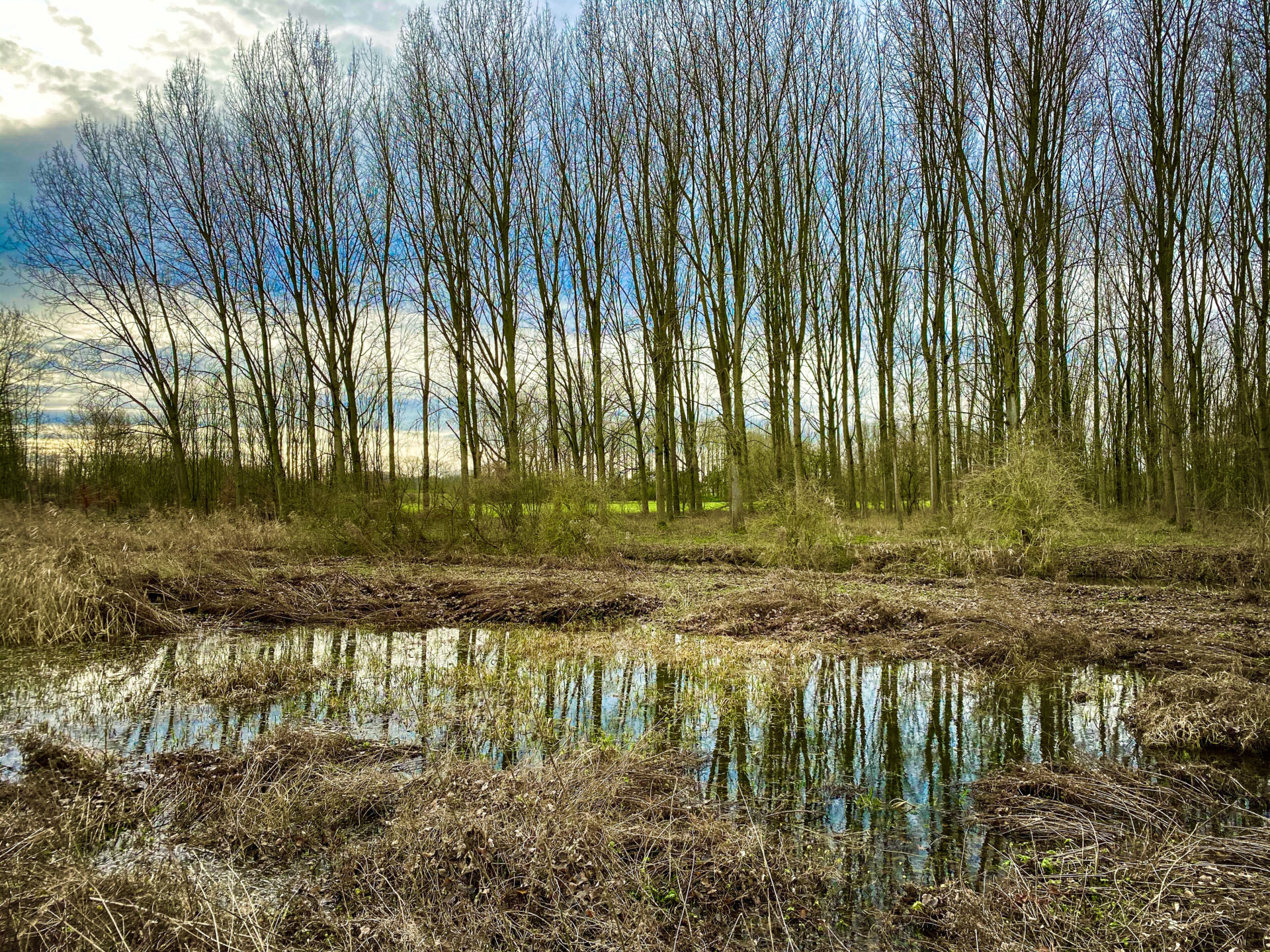 Wandeling in de Kalkense Meersen: ook dit is Wetteren - wndln