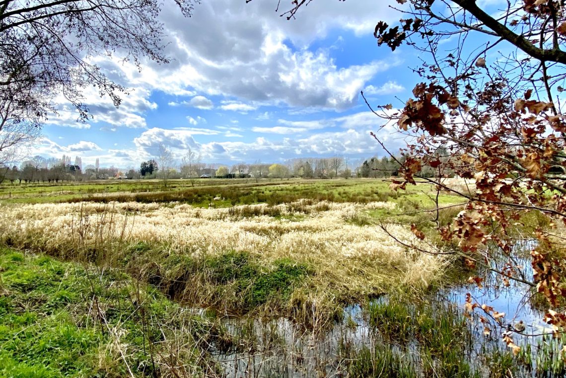 Lang leve de Leie: Afsnee-Keuze wandelroute - wndln