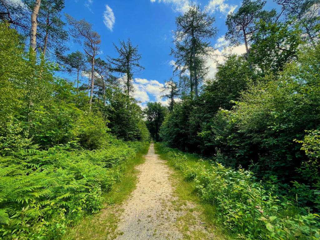 Polygon Wood Legacy wandelroute - wndln